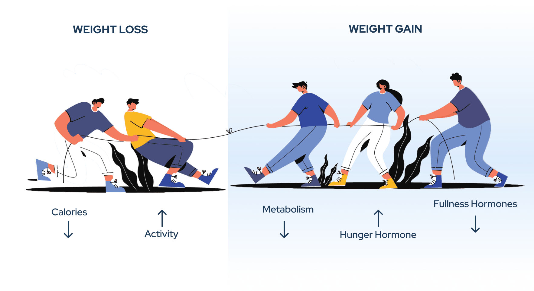 Jack Health | Weight Loss